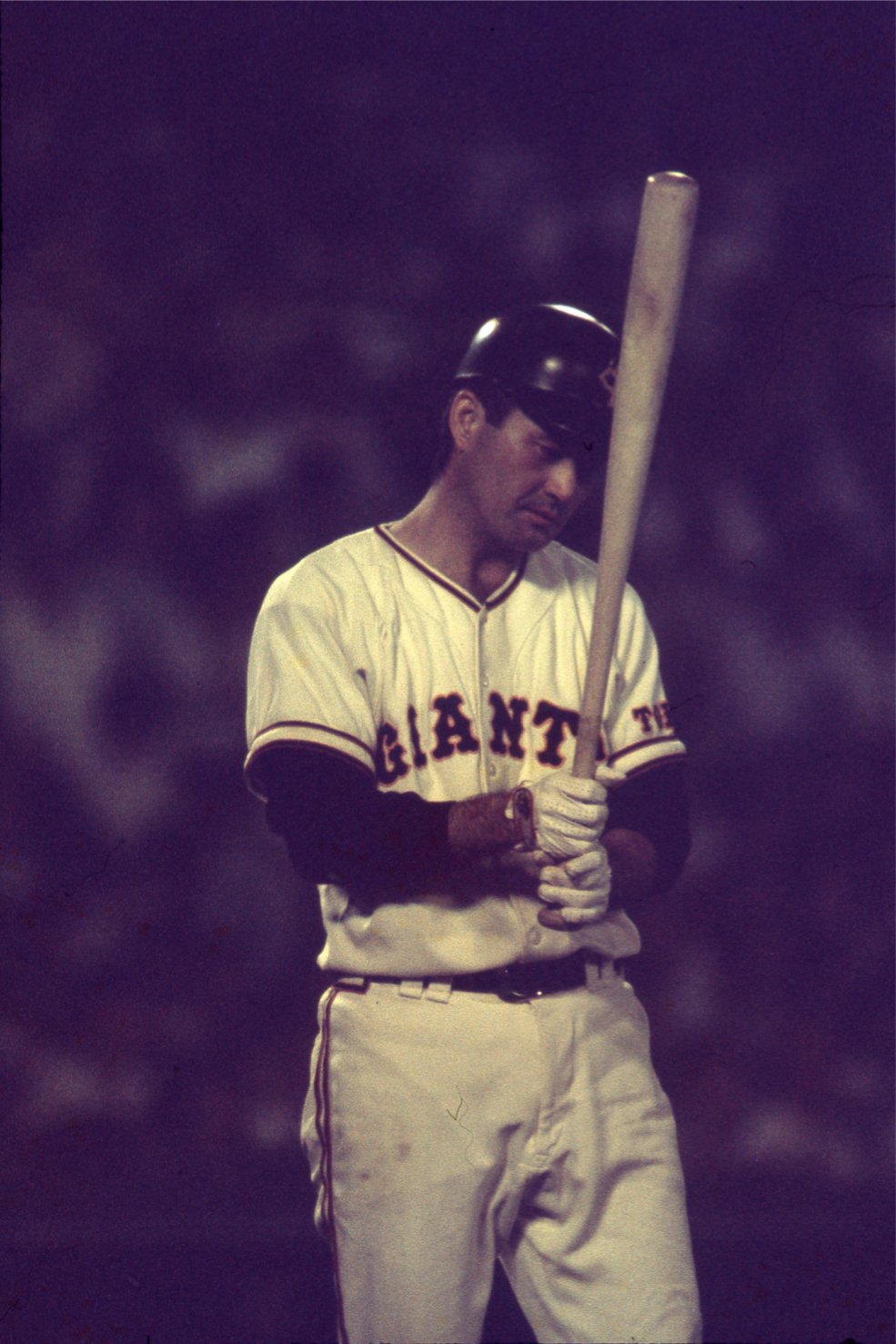 7年間の集大成「篠山紀信展 写真力」シリーズ最後の展覧会が9月から開催、樹木希林や広瀬すずが被写体に